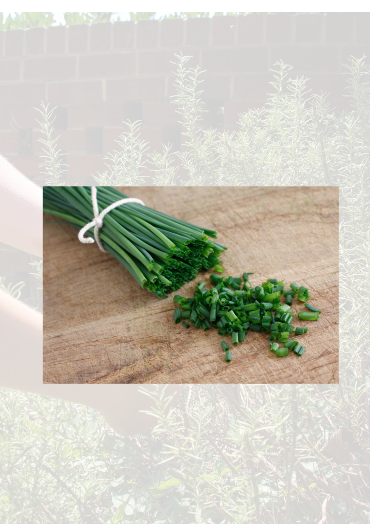 Chives 100g bag – The OpenDoor Complex