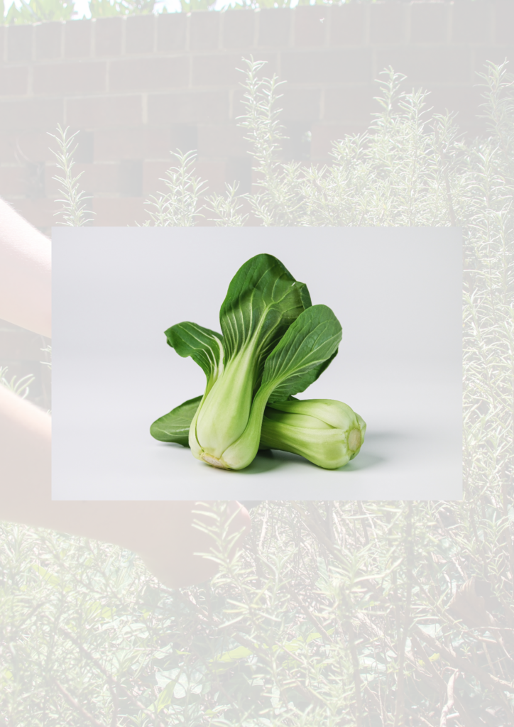 Pak choi – The OpenDoor Complex
