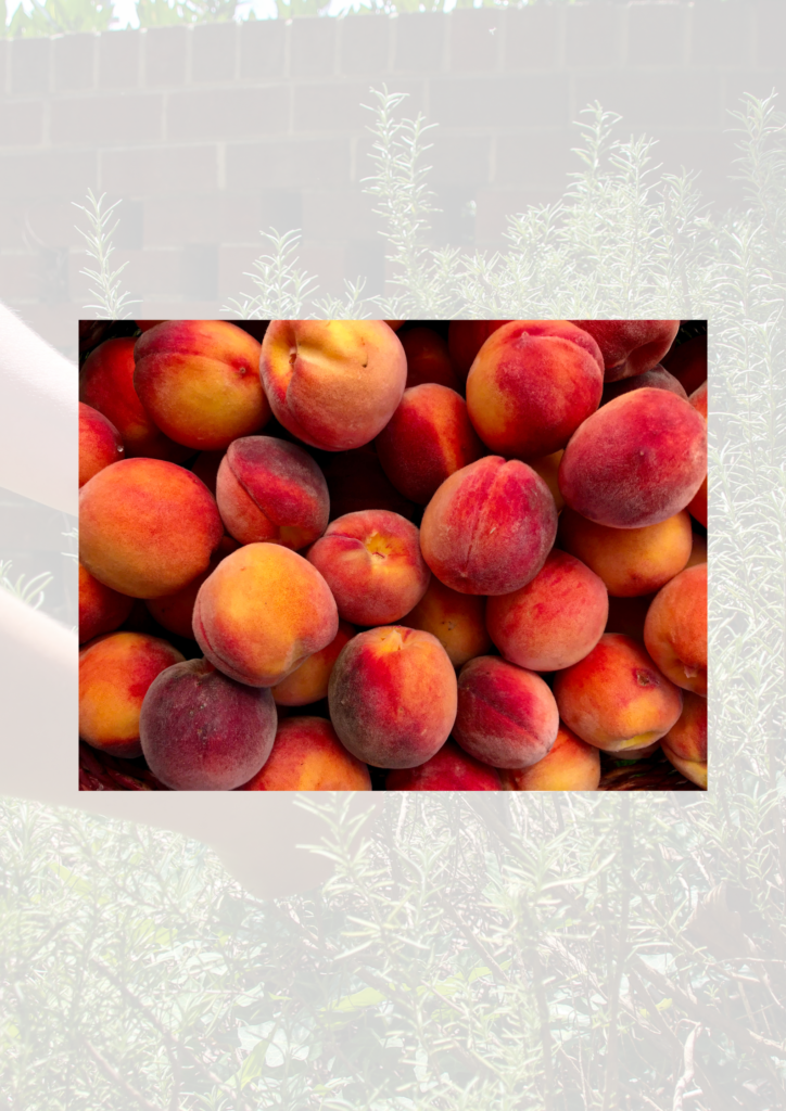 Peaches Punnet – The OpenDoor Complex